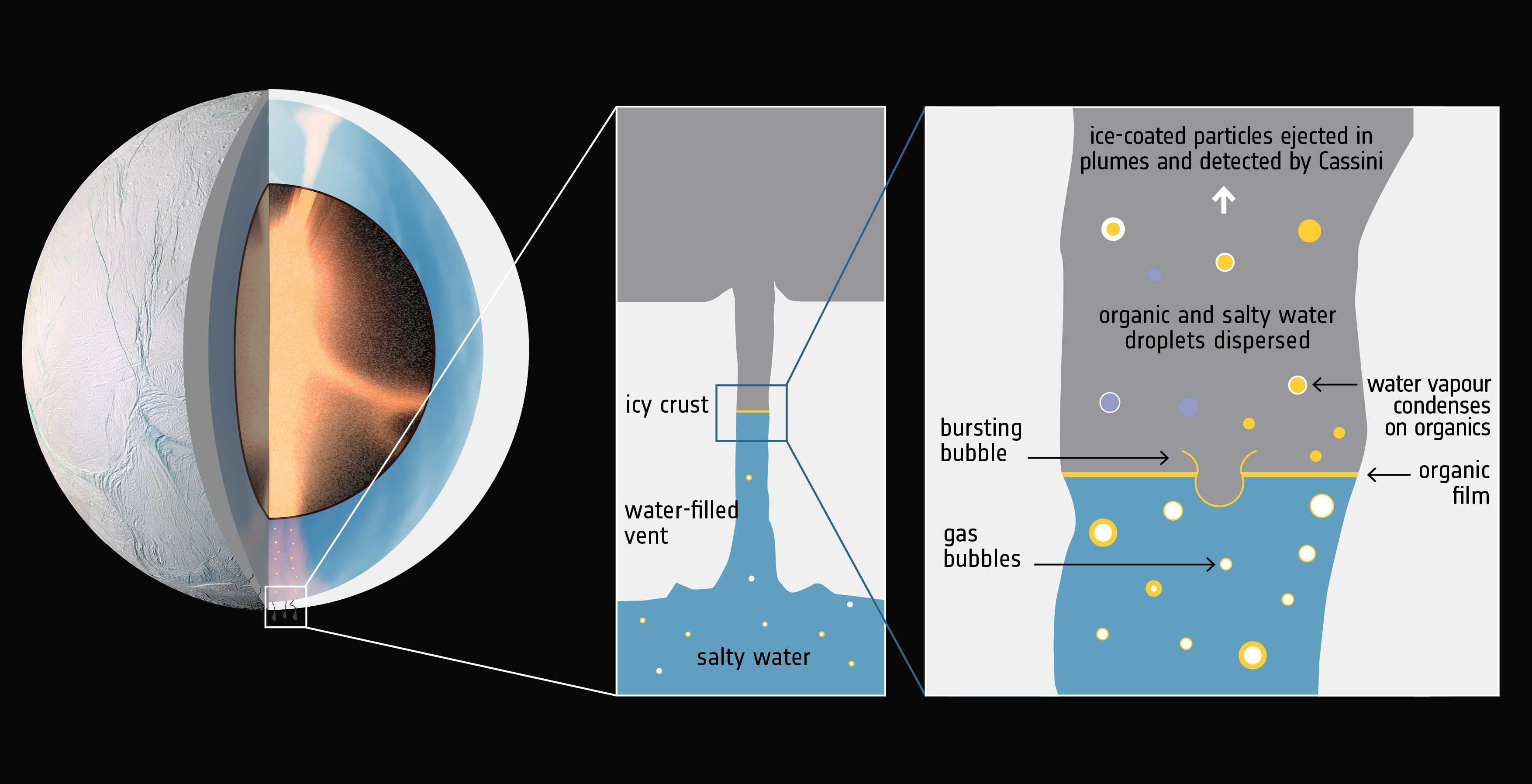 Hydrothermal Activity in Enceladus' Core and the Rise of Organic-rich ...